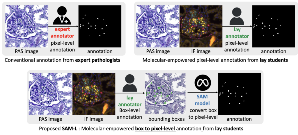 Leverage Weakly Annotation to Pixel-wise Annotation via Zero-shot Segment Anything Model for ...